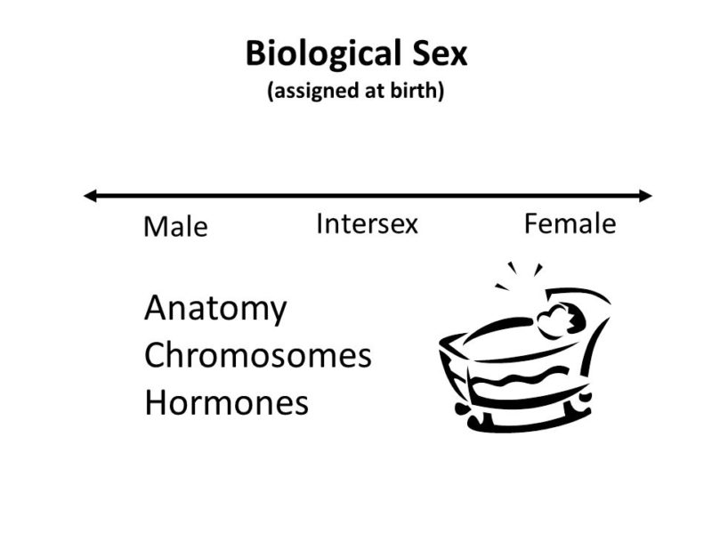 Sex And Gender Peoples And Cultures Of The World